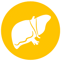 IROSTOL® equine skin forte: For the skin and hair of horses