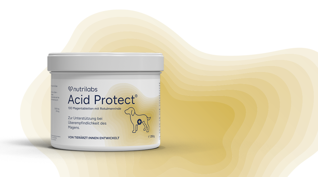 High-quality pet supplements | Feed supplements - NutriLabs