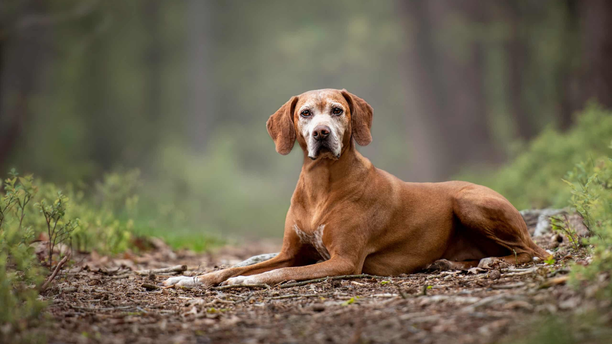 Help Contact – Support and contact persons at Nutrilabs